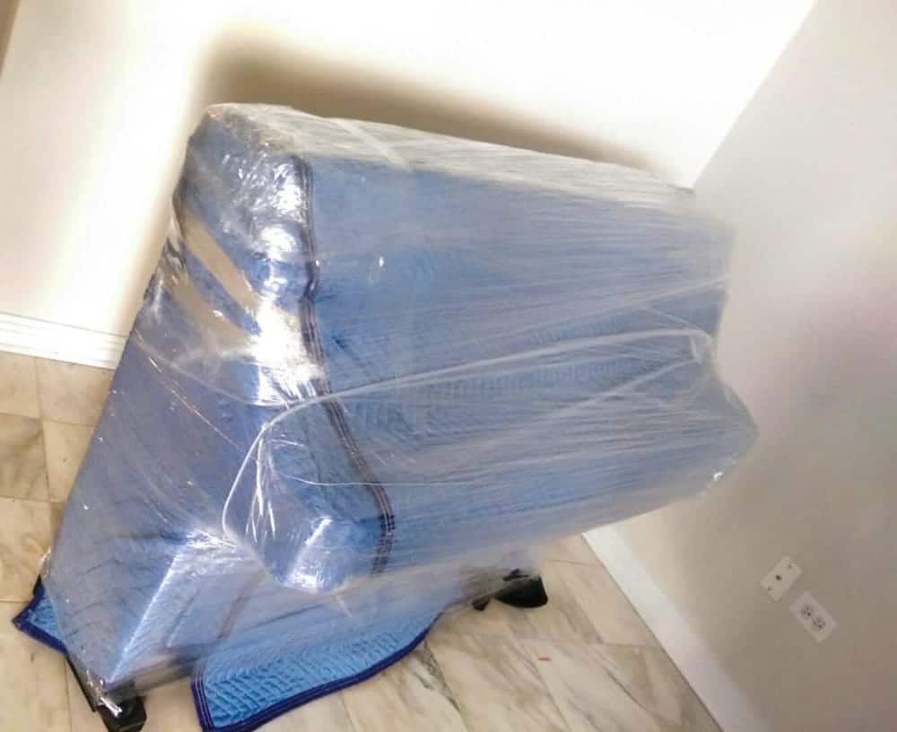 Hidden Gem of Nature: Explore Burnt Mills East Special Park in Silver Spring, MD – Artisan Movers